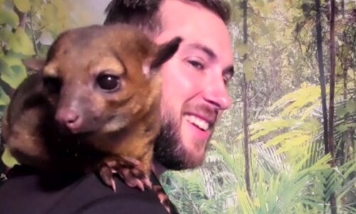 Explore Our Virtual Events: Engaging Activities at Loop Village